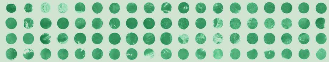 Tumor Microarray for IO Drug Testing | Reaction Biology TMA